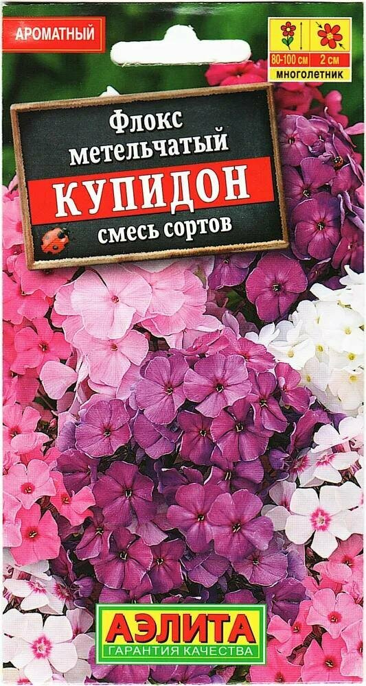 Семена флокса Аэлита Купидон, смесь оттенков, метельчатый, 0.1 г