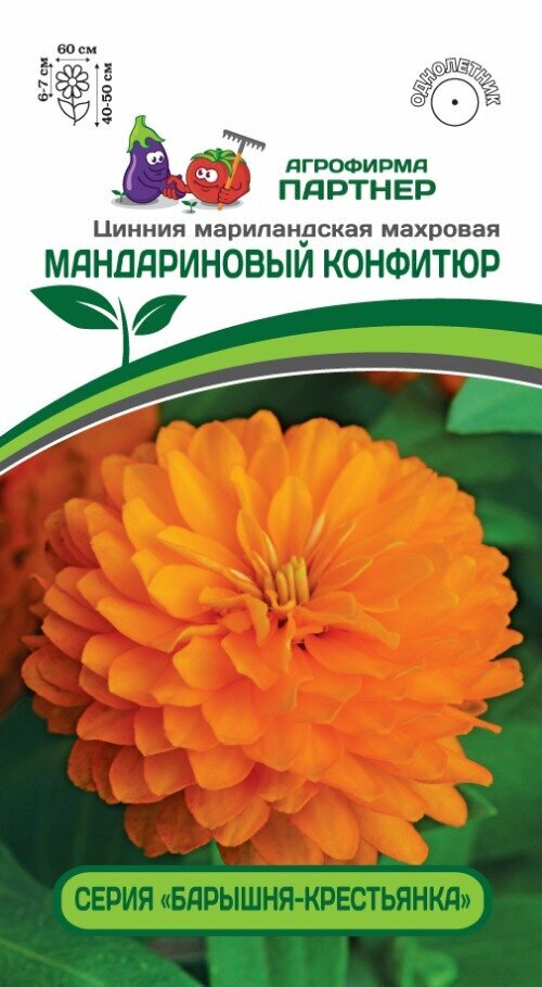 Семена цинния партнер Мандариновый конфитюр, однолетняя, кустовая, 5 шт