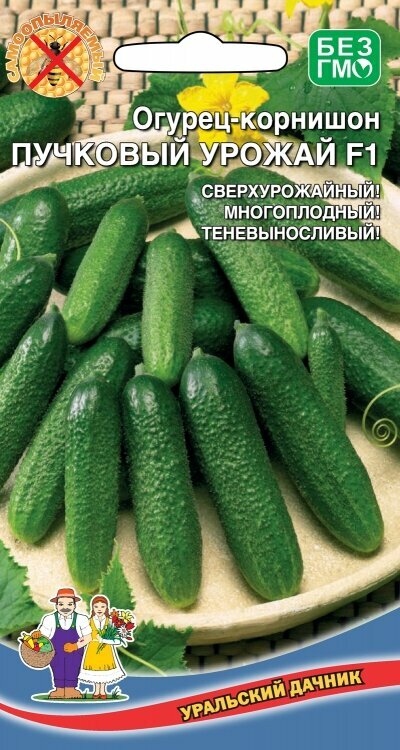 Семена огурца Уральский дачник Пучковый урожай F1, скороспелый, партенокарпический, корнишон, 10 шт