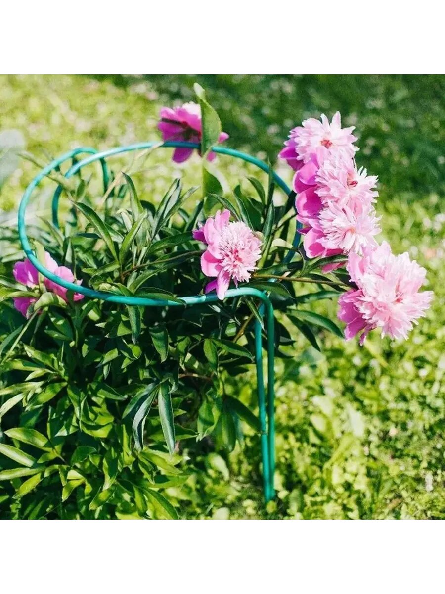 Устойчивый кустодержатель для растений — фото 1