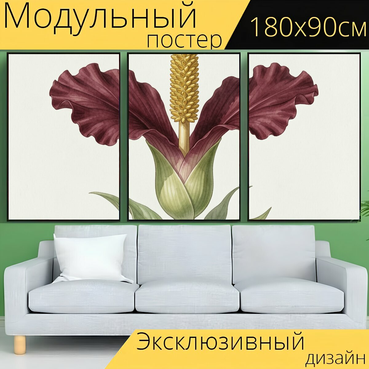 Модульный постер "Экзотический цветок в акварели. Изящное ботаническое изображение тропического растения с бордовыми лепестками и." 180 x 90 см. для интерьера на стену в тубусе