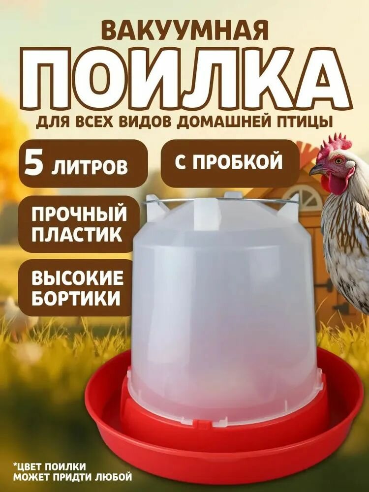 Вакуумная поилка для кур и цыплят автоматическая подвесная 5 литров птицы