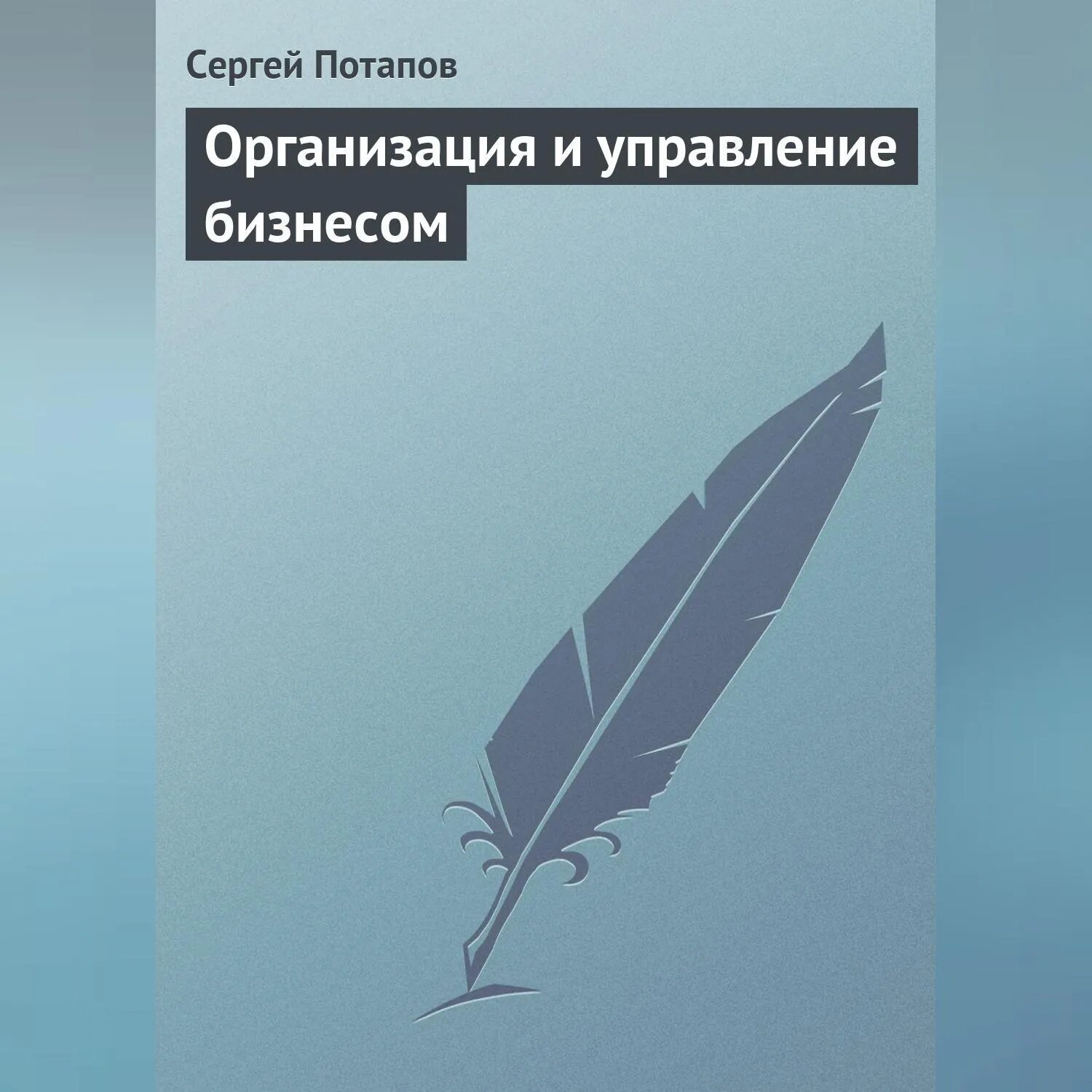 Организация и управление бизнесом [Аудиокнига]