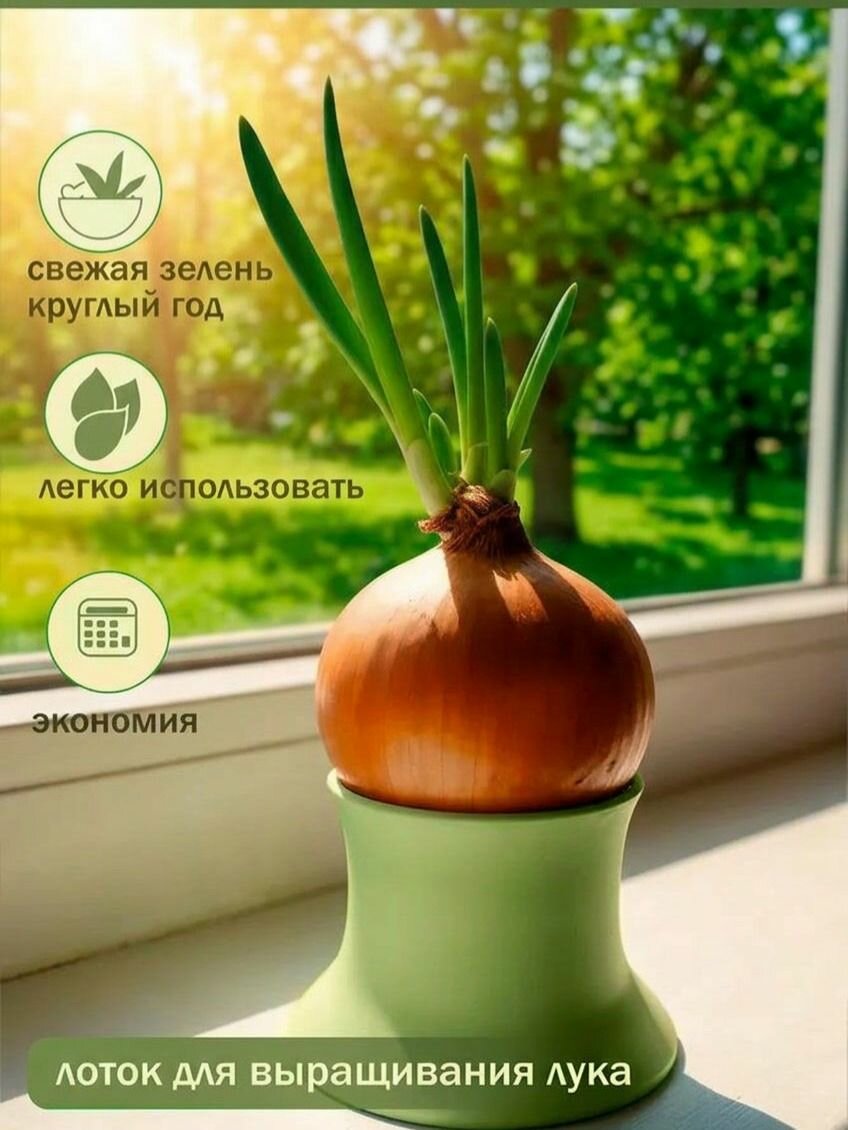 3 лотка для выращивания лука на подоконнике светло-зеленый