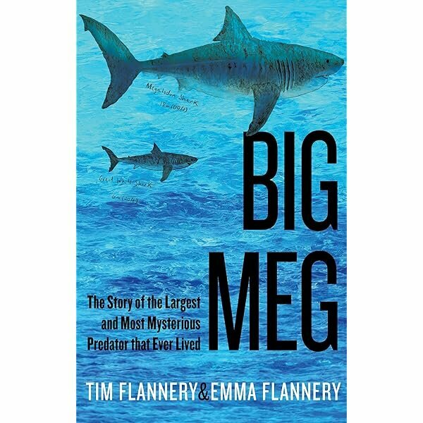 Big Meg: The Story of the Largest and Most Mysterious Predator that Ever Lived，Reprinted paperback book