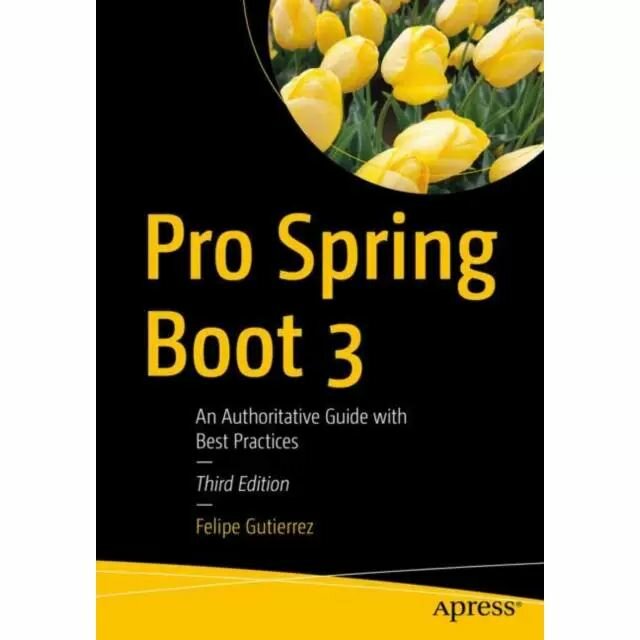 Pro Spring Boot 3 Felipe Gutierrez 9781484292938 Reprinted books