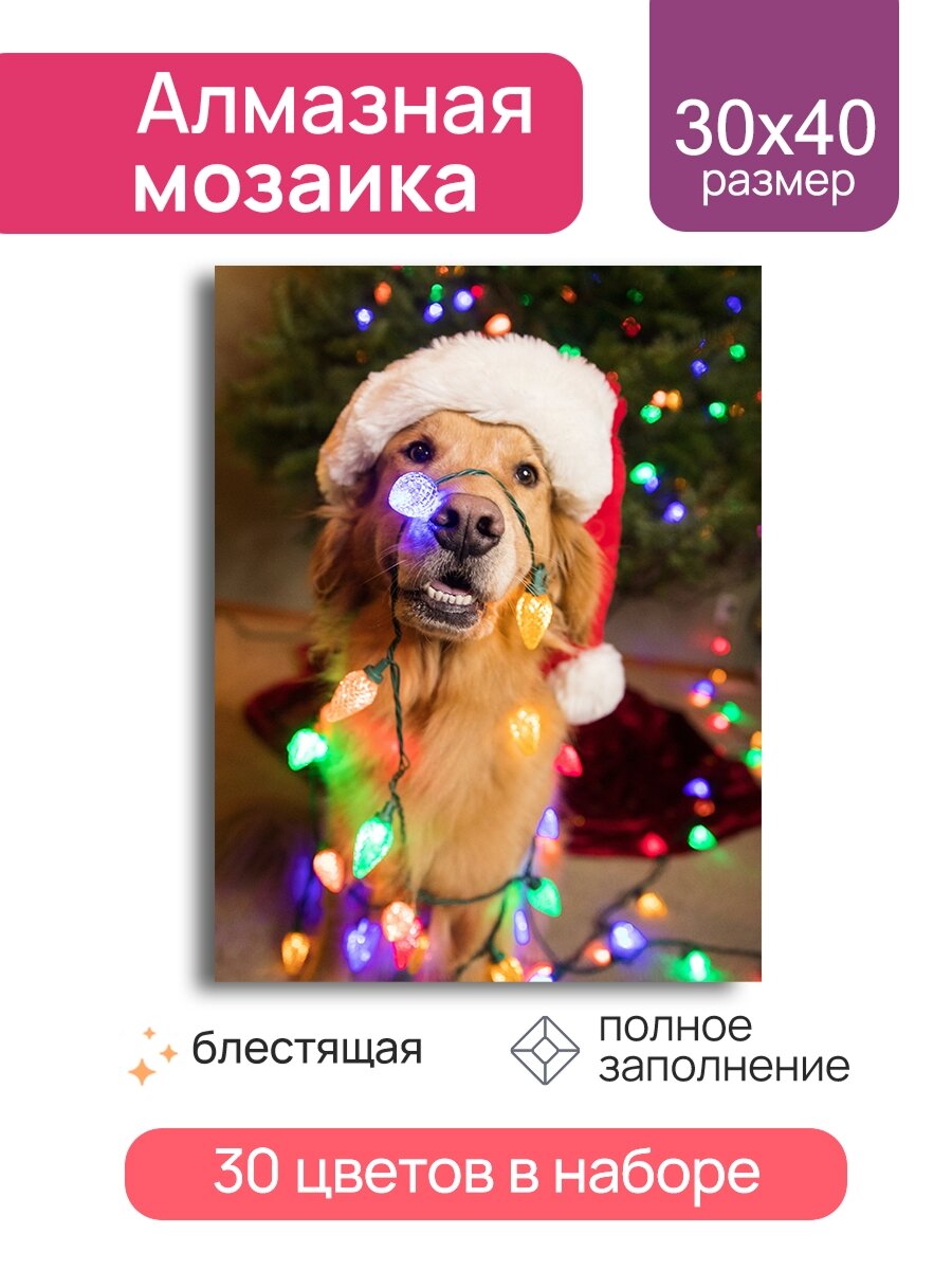 Алмазная мозаика (блестящая) 30х40 см c подрамником, с полным заполнением (30 цветов) Яркие огни (Арт. НД-7635)
