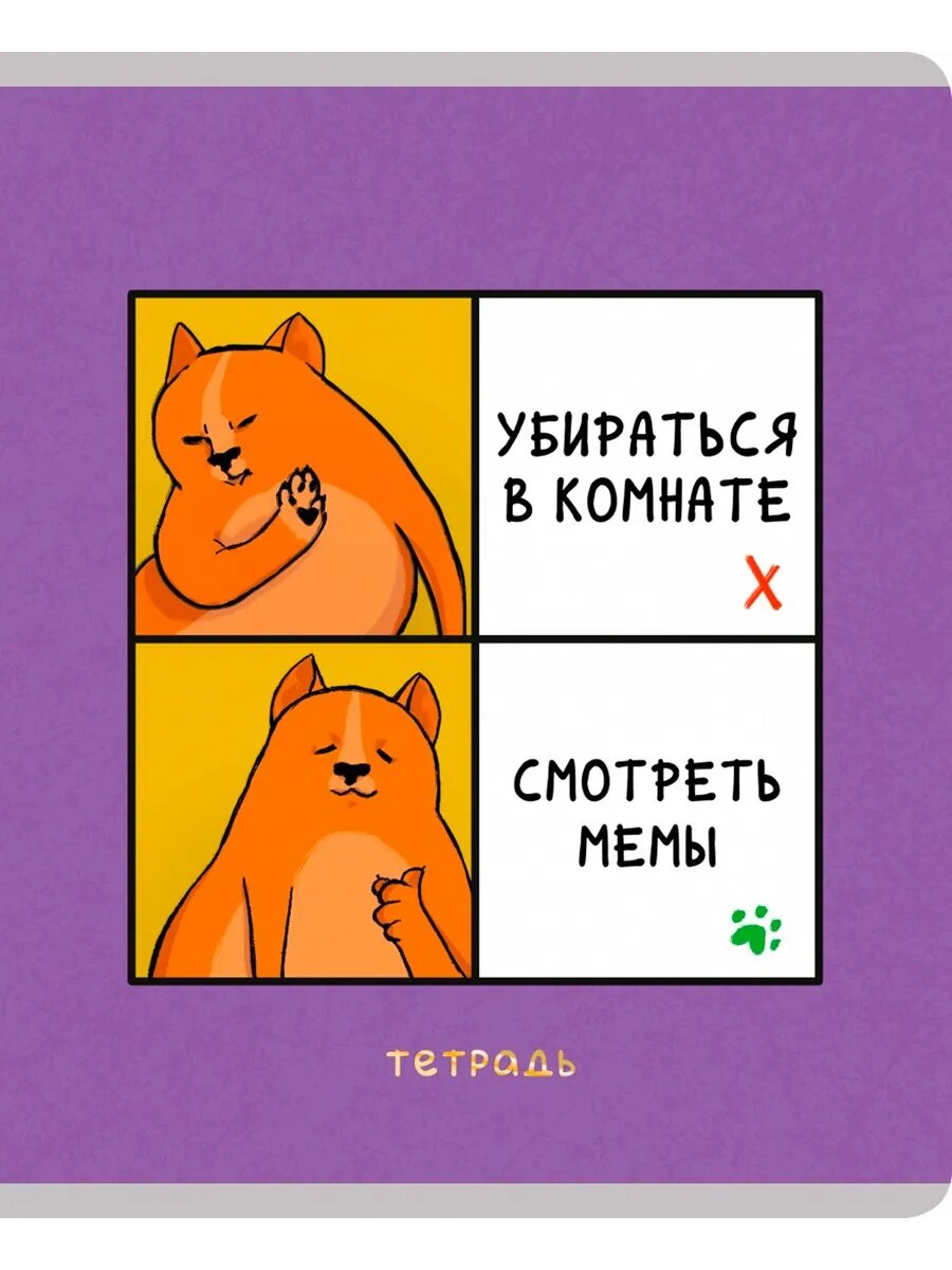 Тетрадь День кота, А5, 96 листов, клетка