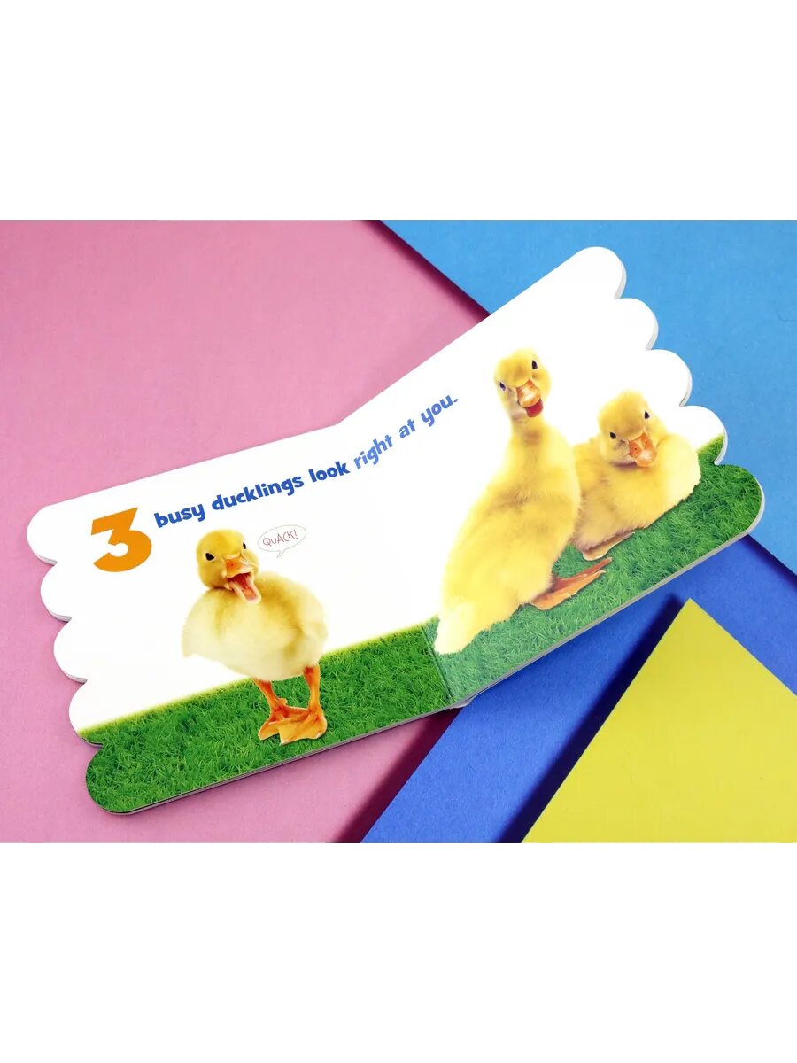 5 Busy Ducklings — фото 1