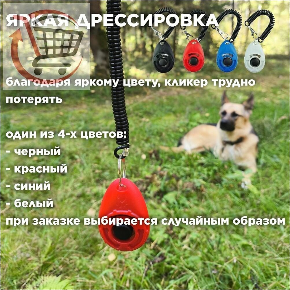 Кликер для дрессировки собак и кошек, с громким звуком и удобным браслетом — фото 1