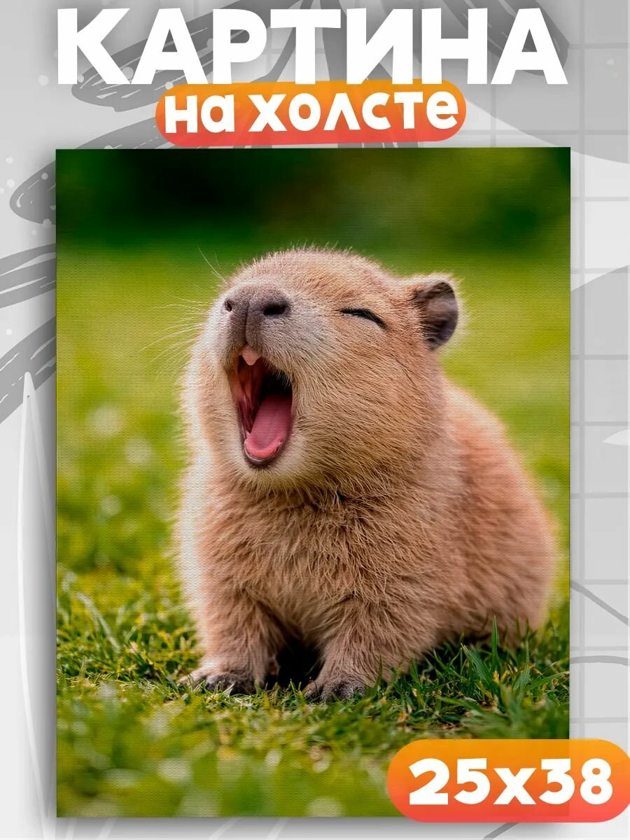 Картина на стену Милые Капибары, на подрамнике, 1шт, 38х25 размер.