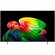 Телевизор OLED65B6RLA