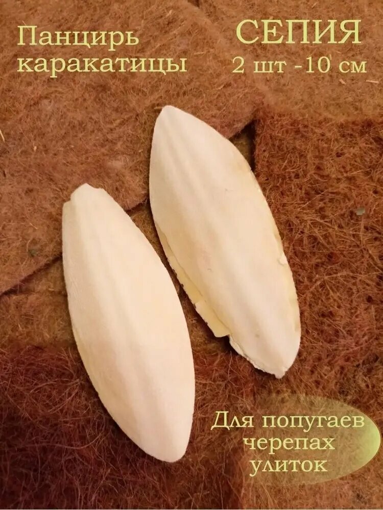 Сепия 10 см 2 штуки, панцирь каракатицы для улиток, черепах, попугаев, рептилий, корм для птиц
