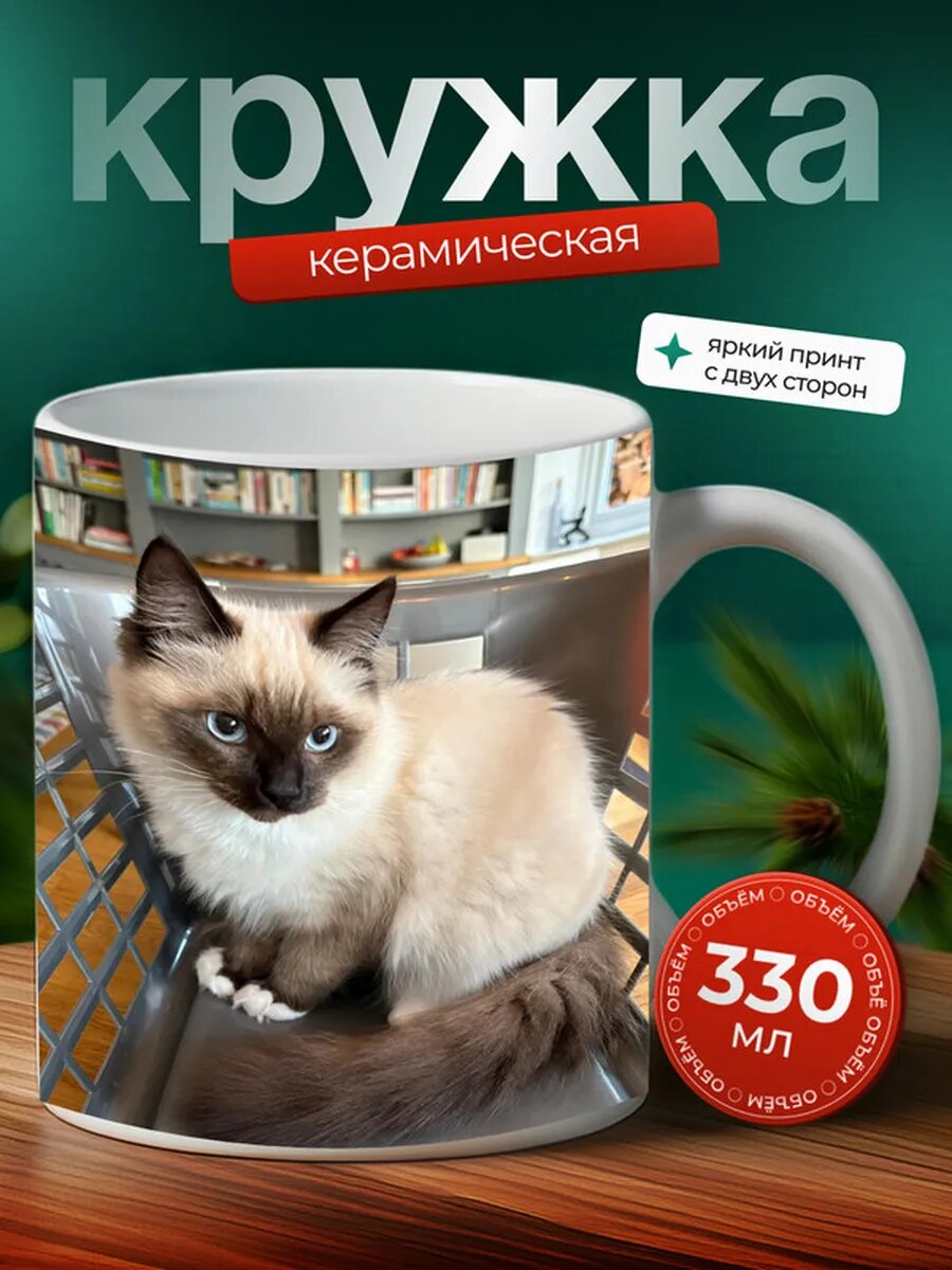 Кружка Индийский шёлковый кот 7,