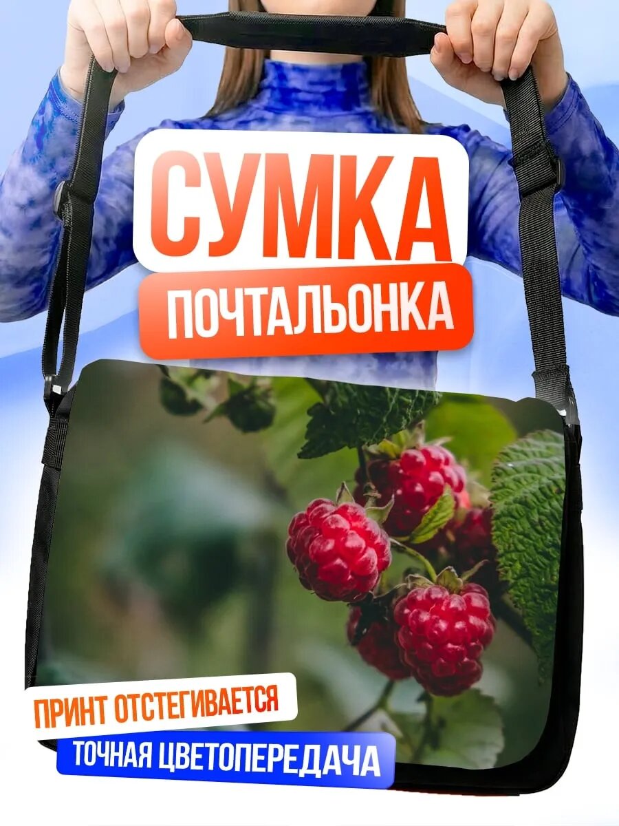 Сумка
