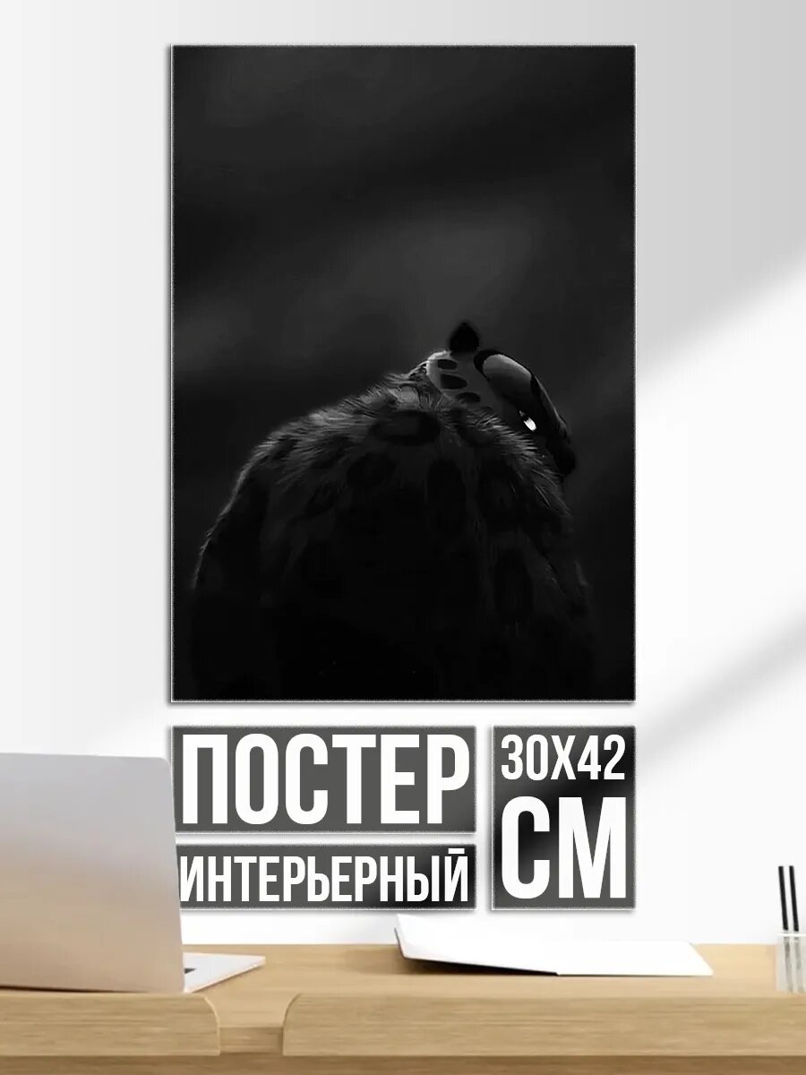Плакат постер Леопард в темноте