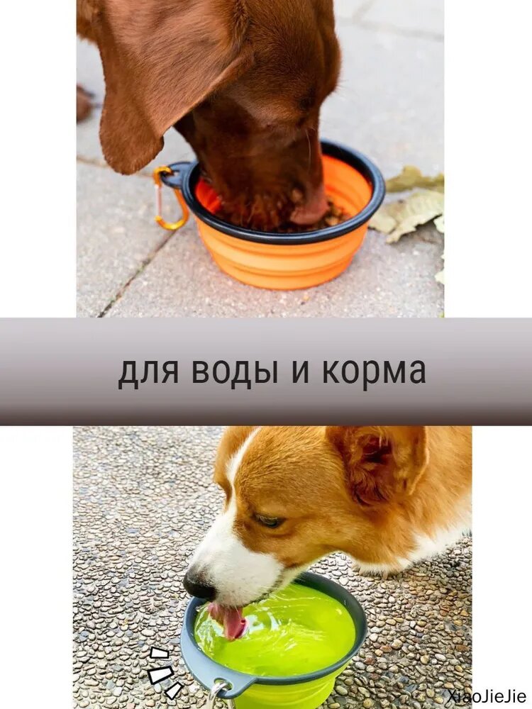 Миска для животных — фото 1