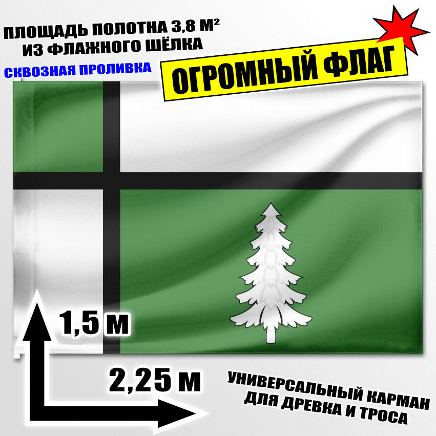 Флаг огромный города Тайшет 225x150 см