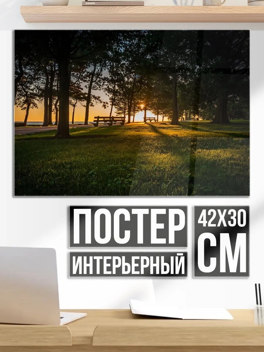 Плакат постер Закат в парке