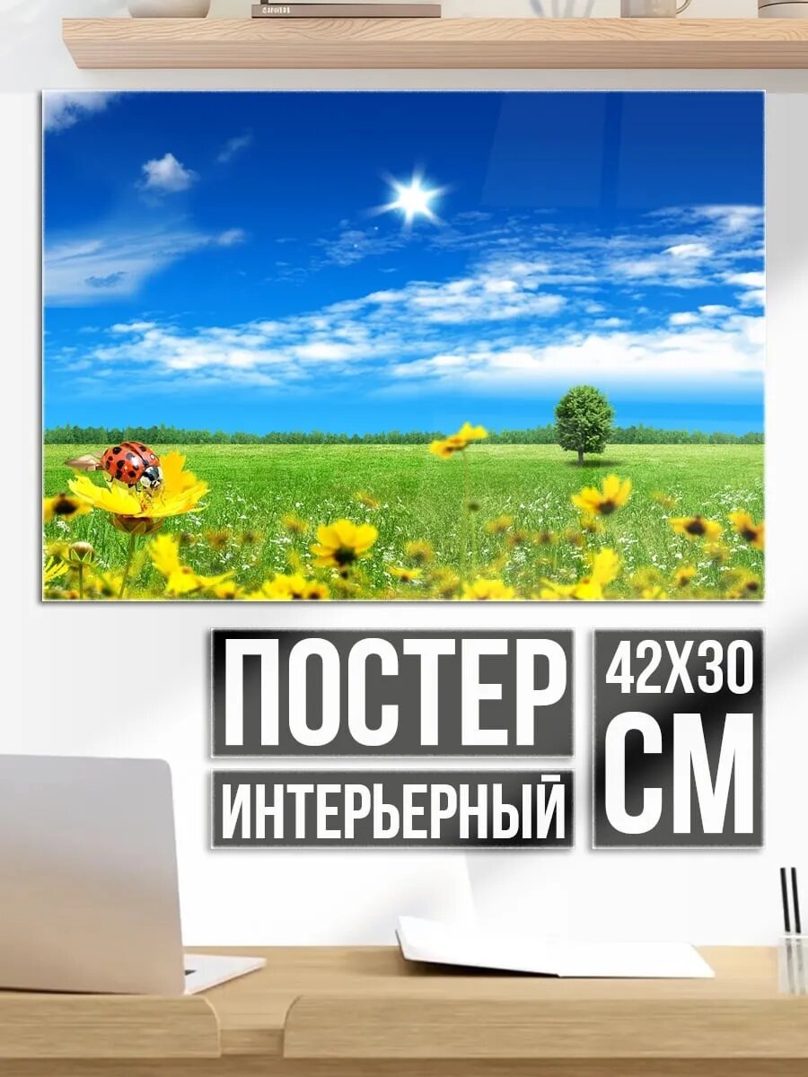Плакат постер Летний луг
