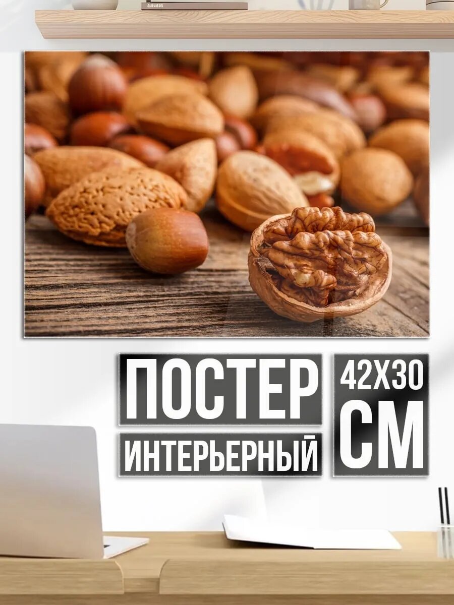 Плакат постер Разнообразие орехов