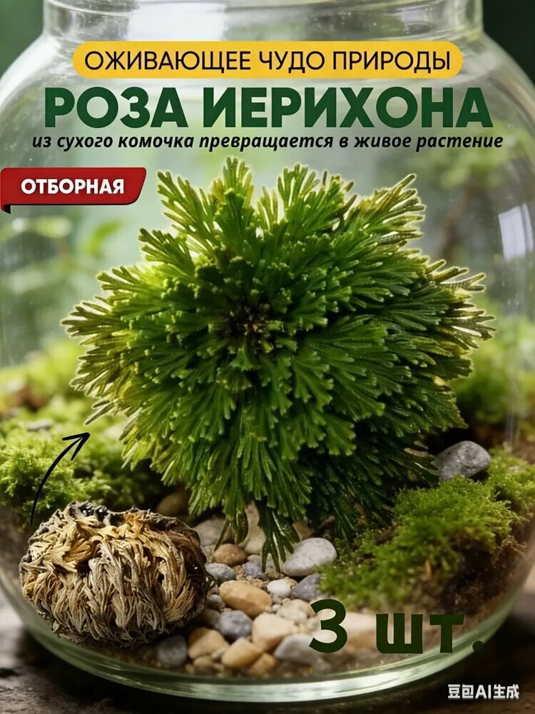 Воскрешение сухих цветов/Восстанавливает цвет при попадании воды,3 шт