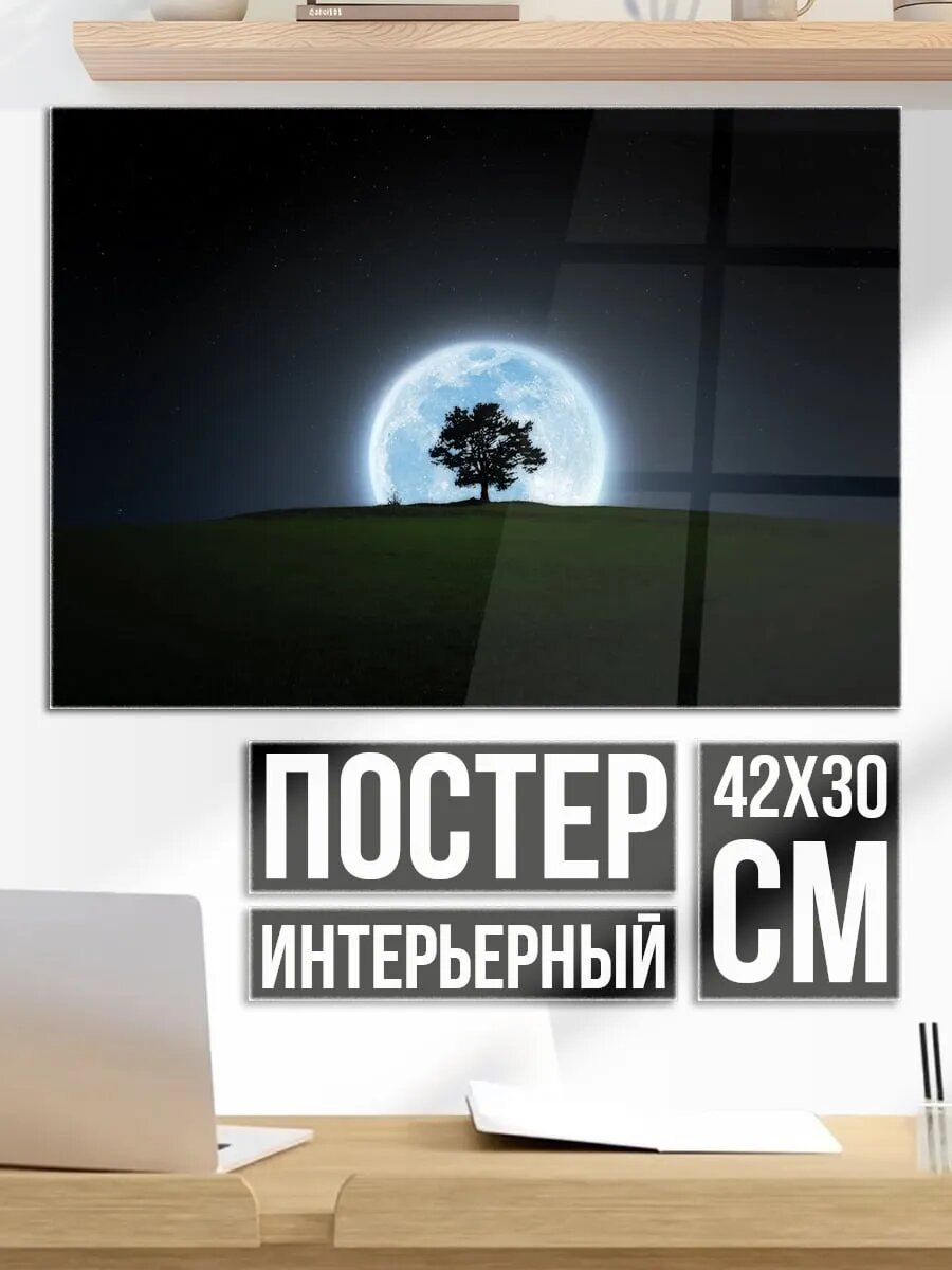 Плакат постер Дерево под луной