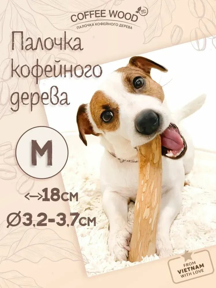 Игрушка для собак - палочка кофейного дерева Coffee Wood M 18 см / Жевательное лакомство для чистки и здоровья зубов