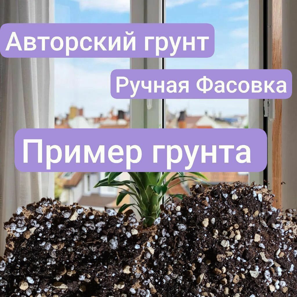 Грунт для растений "Алоэ", универсальный, для суккулентов, 1 л — фото 1