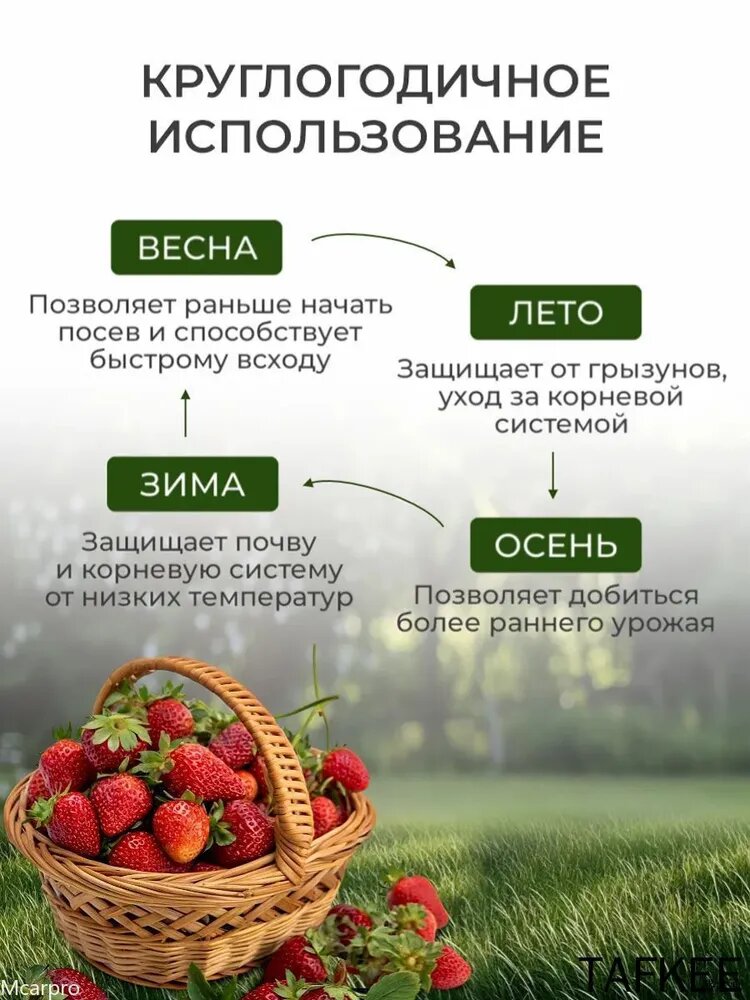 Клумба, 1х0.3 м, 1 шт — фото 1