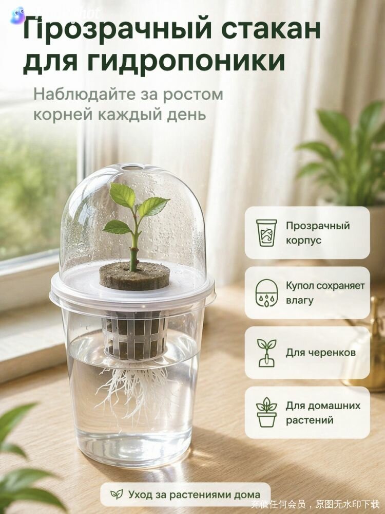 Домашняя гидропоника для укоренения растений 3 штуки, прозрачный корпус