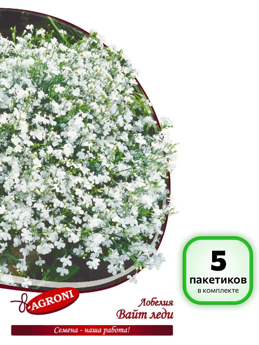 (5 шт.) - Семена Лобелия Вайт леди (0,1г)