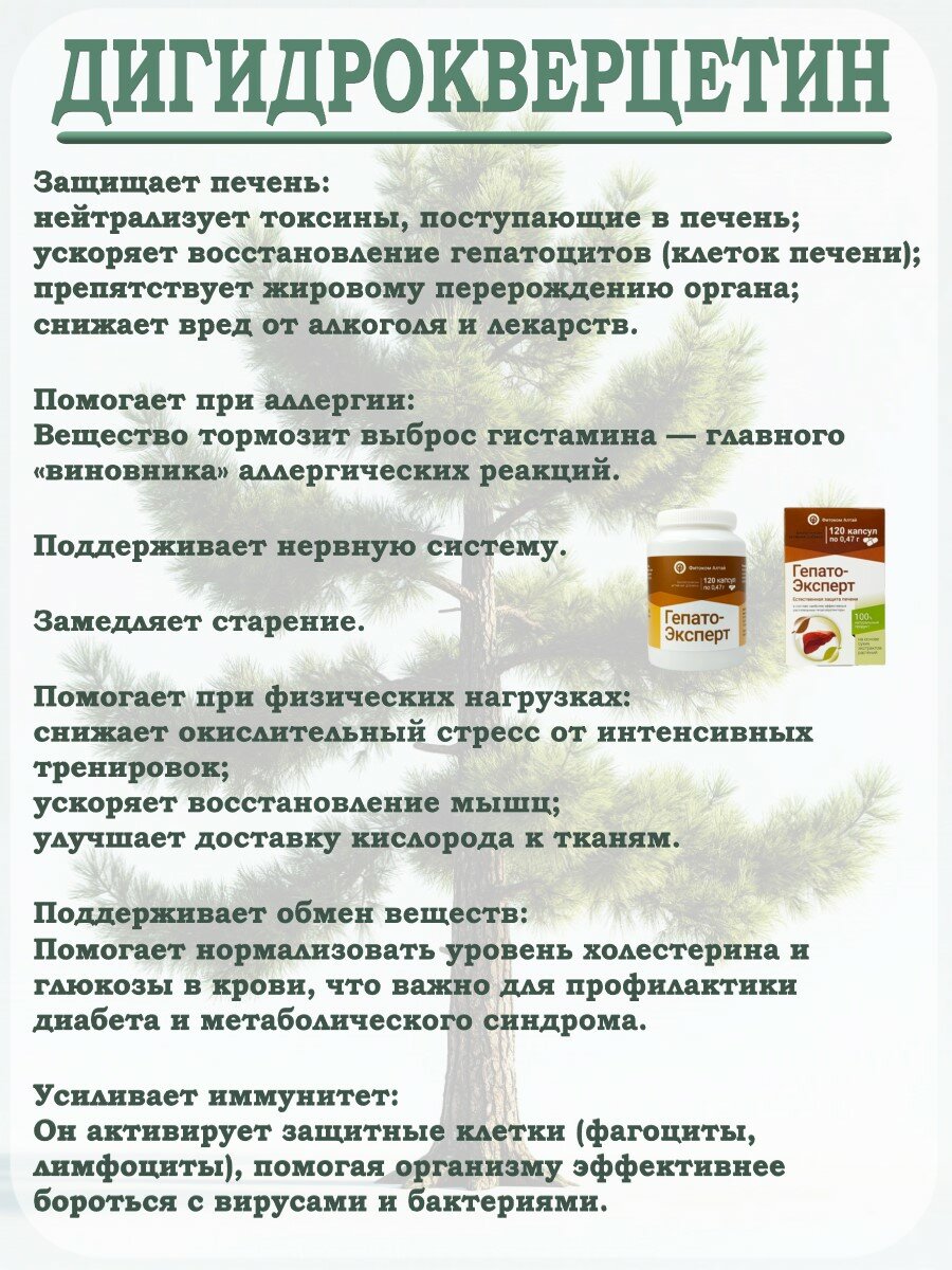 Гепато эксперт БАД для печени и желчного пузыря от Фитоком Алтай 120 капсул — фото 1