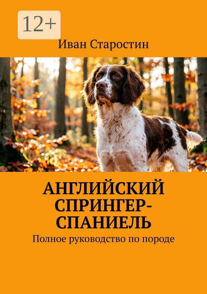 Английский спрингер-спаниель