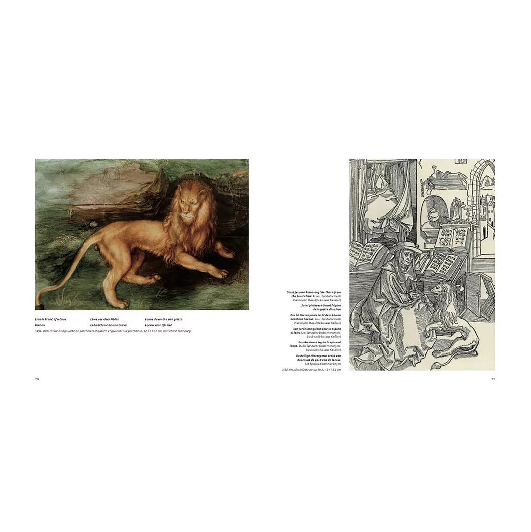 Duerer (Artist Monographs) — фото 1