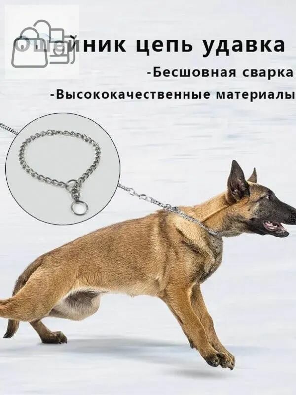 Ошейник цепь удавка