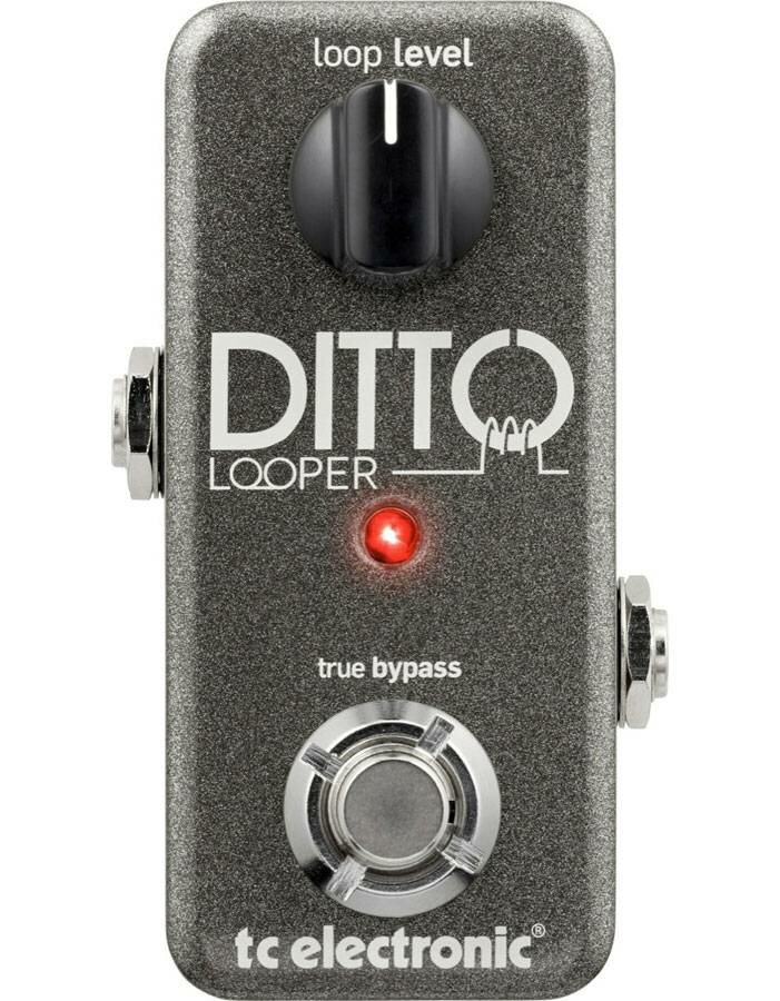 Гитарная педаль эффектов TC Electronic DITTO LOOPER лупер, true bypass — фото 1