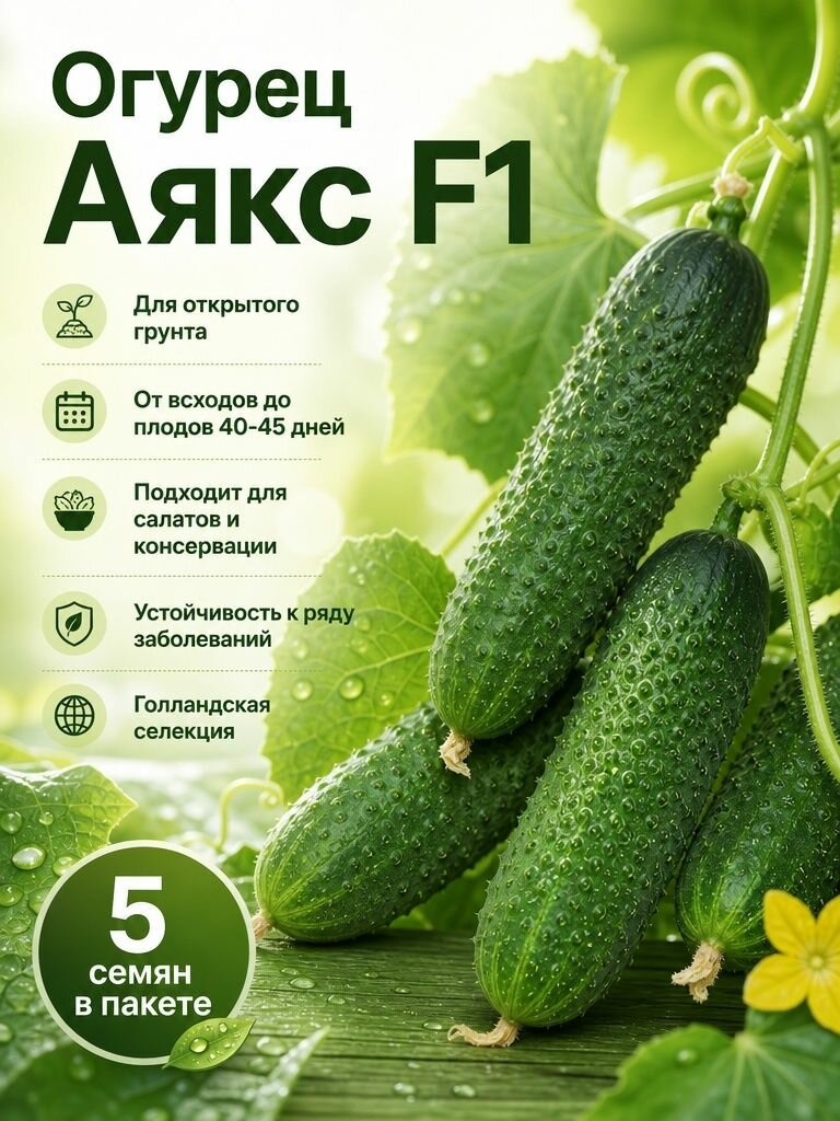 Огурец Аякс F1, семена