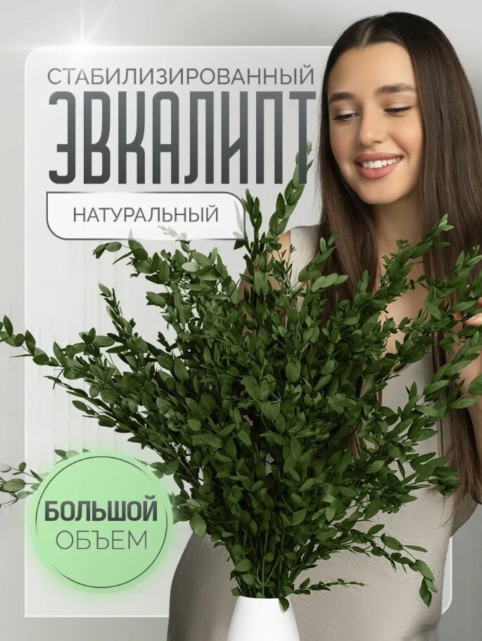 Сухоцветы Эвкалипт, 45 см, 150 гр