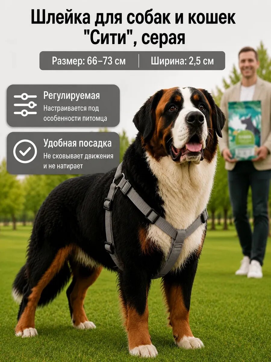 Yami Yami амуниция Шлейка Сити L стальная 25мм, ОШ 65-70см, ОГ 66-73см
