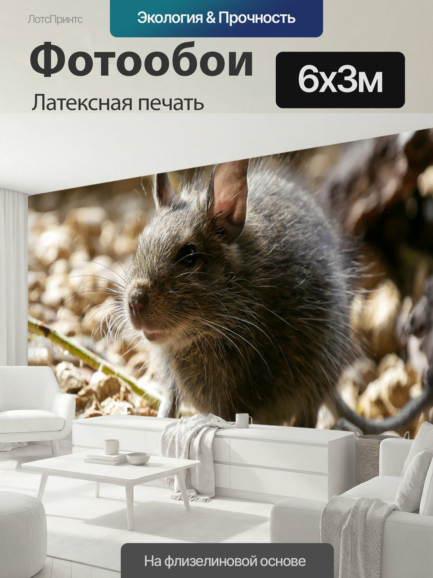 Фотообои моющиеся ударопрочные "Дегу, грызун, носить крысу" 600x300 см. латексная печать