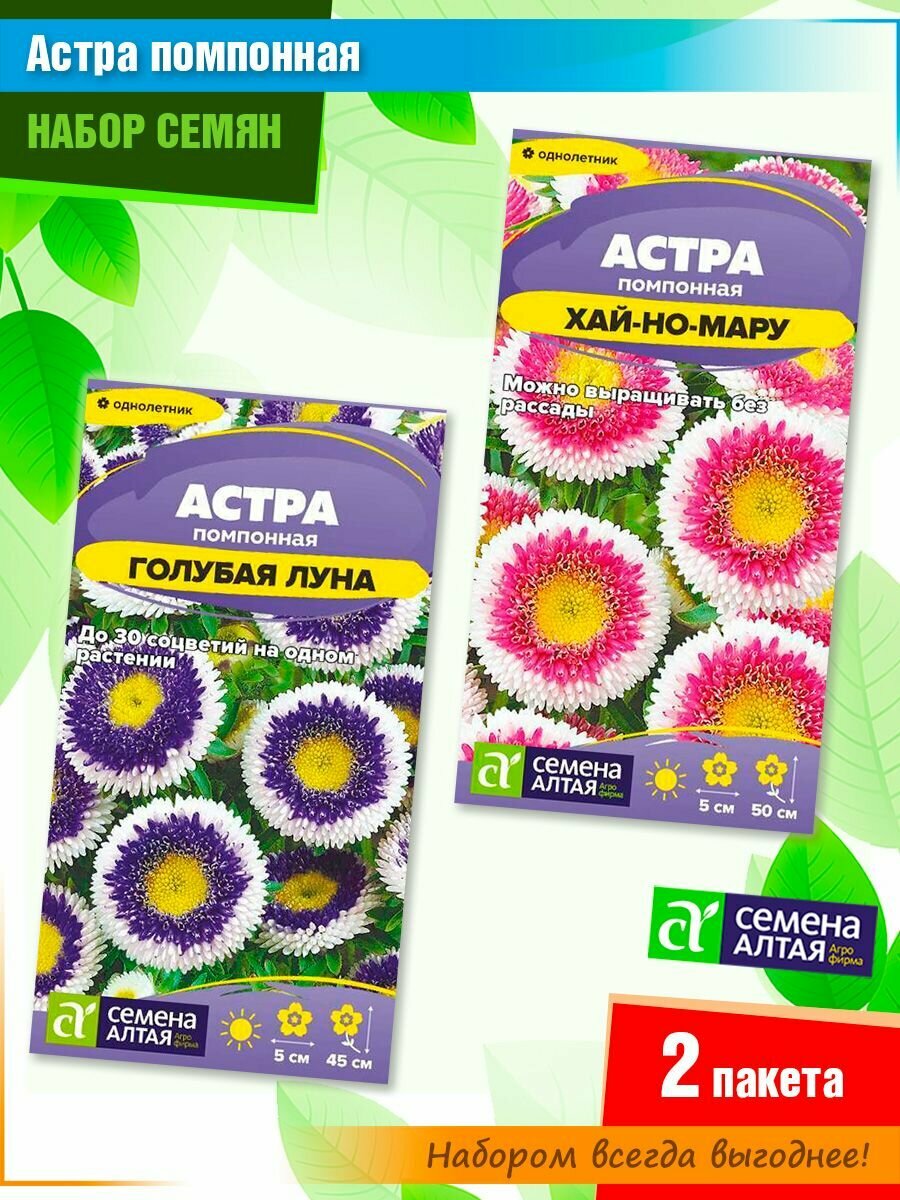 Набор семян астры помпонной от компании Семена Алтая (2 пачки)