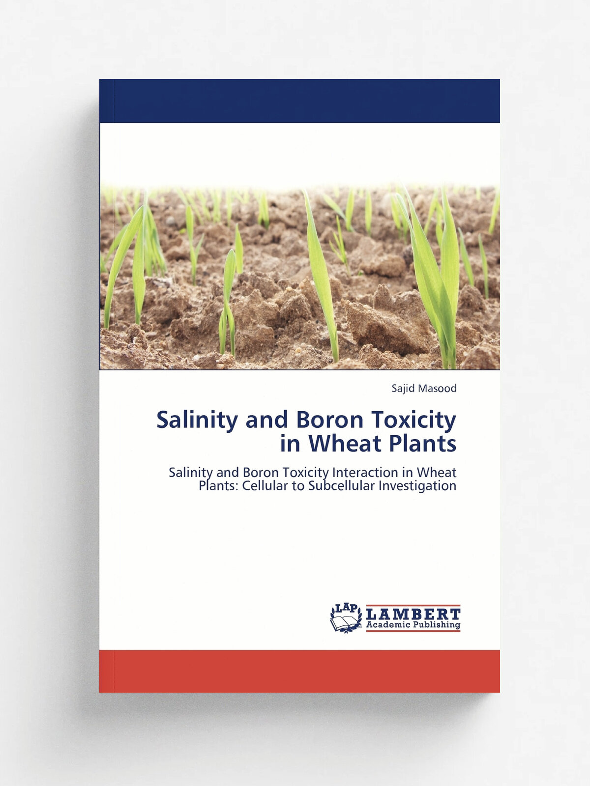 Salinity and Boron Toxicity in Wheat Plants