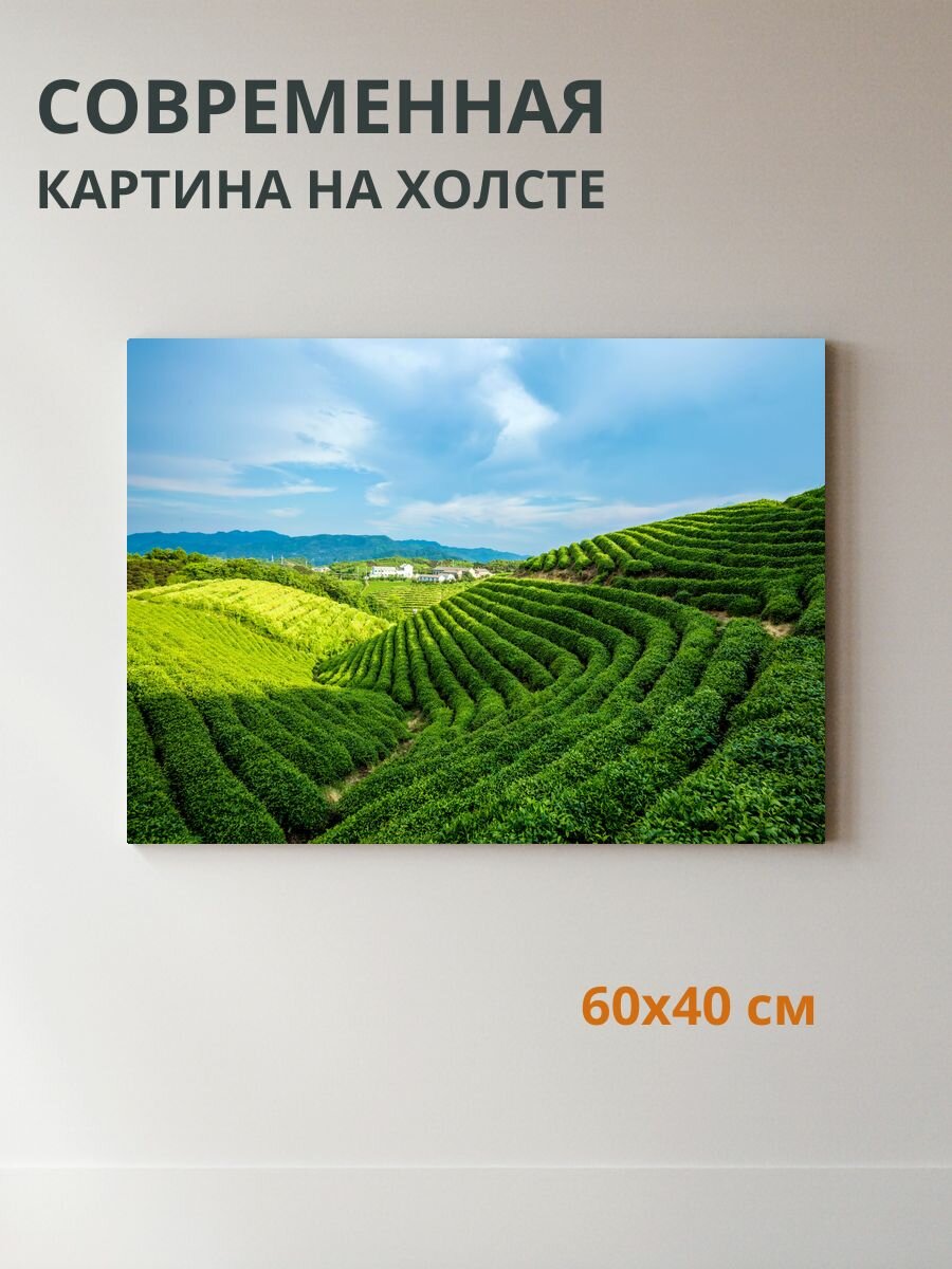 Картина на холсте Чайные поля 60x40 см
