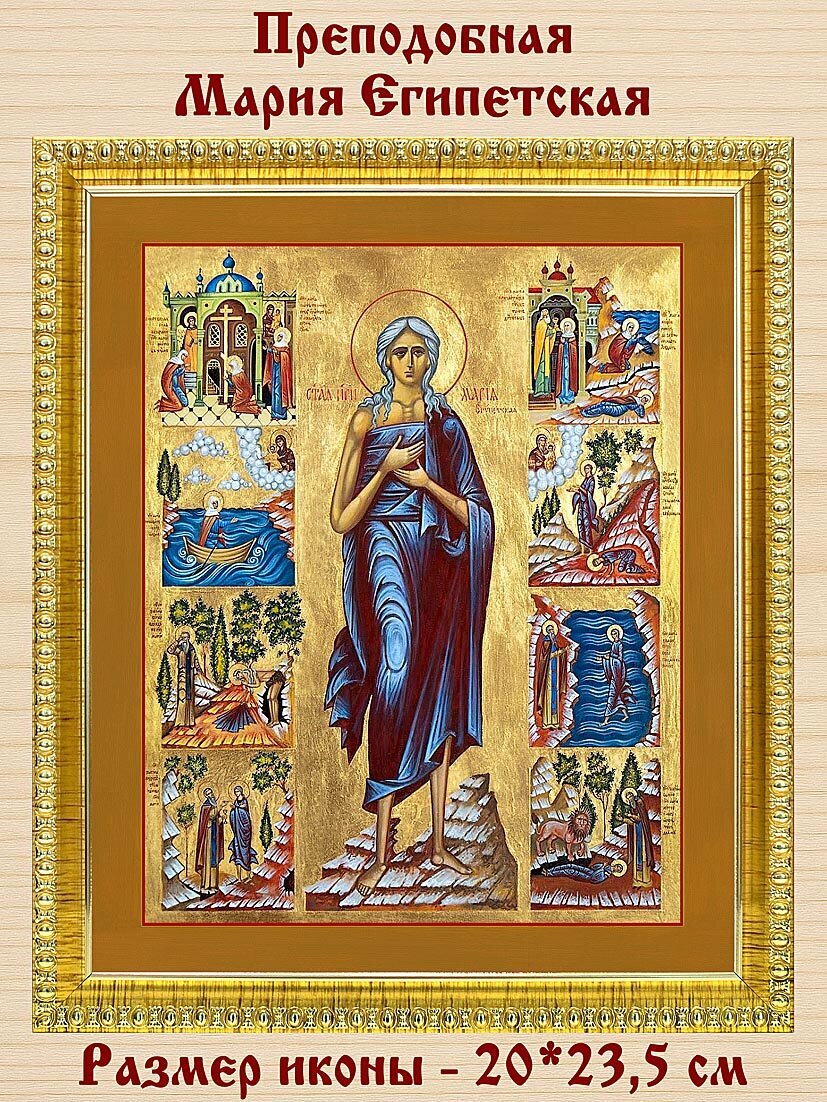 Преподобная Мария Египетская с житием, икона в золотой пластиковой рамке 20*23,5 см