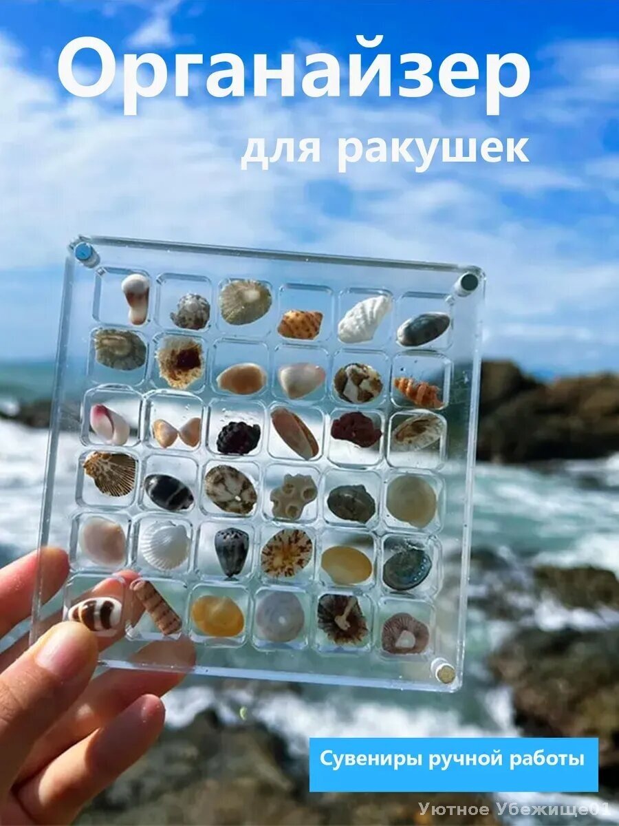 Коробка для хранения ракушек, 36 ячеек, прозрачный магнитный акрил