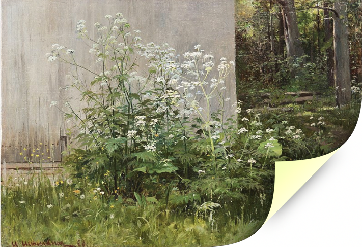 "Цветы у забора", Шишкин Иван Иванович, картина (репродукция) (43х30 см / без подрамника)