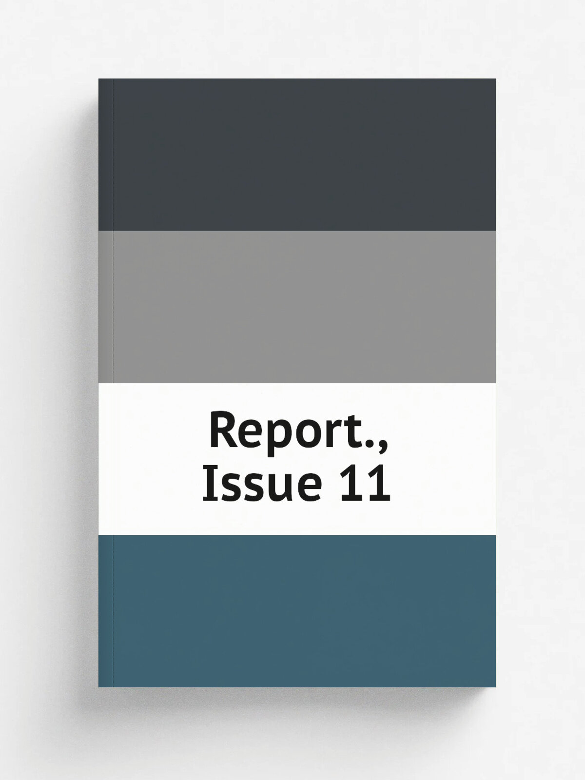 Report, Issue 11