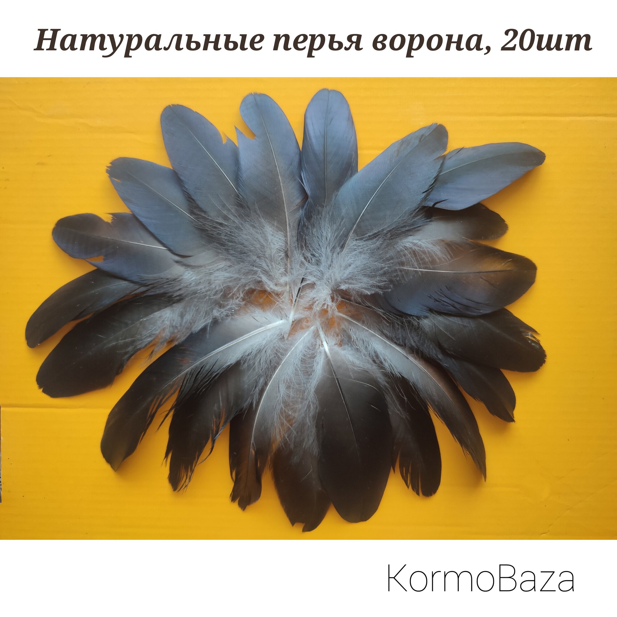 Перо ворона, 20шт. Натуральные перья