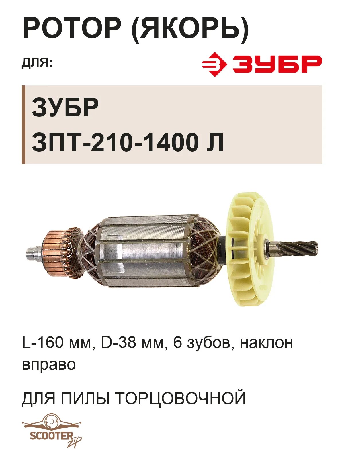 Ротор (Якорь) (L-160 mm, D-38 mm, 6 зубов, наклон вправо) для пилы торцовочной ЗУБР ЗПТ-210-1400 Л